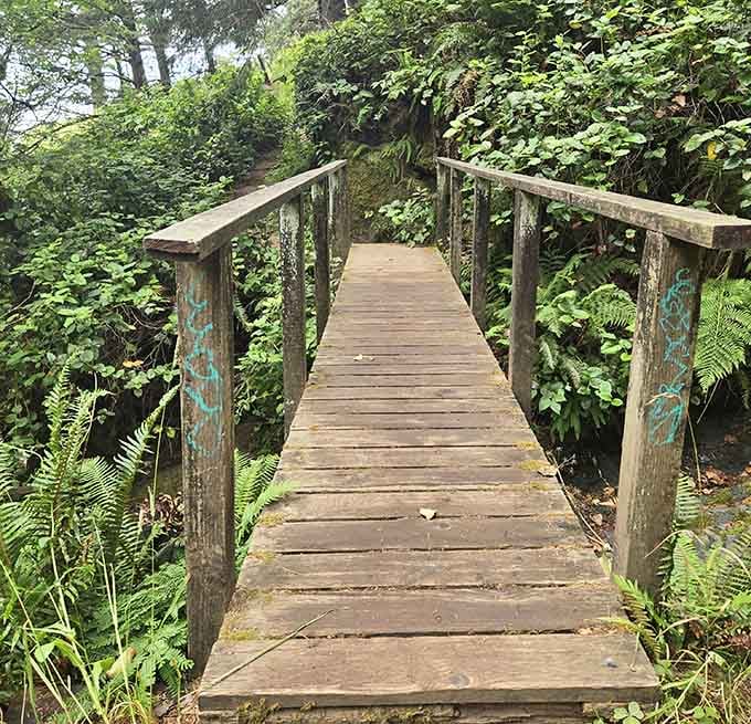 A rustic wooden bridge crosses the creek, adding charm to your journey toward the Pacific's edge.