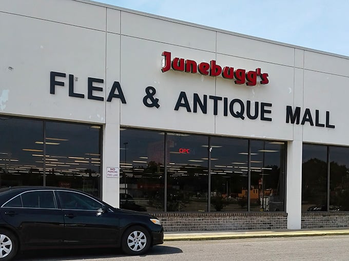 Junebug's promises treasures and trinkets where one person's junk becomes your dining room conversation starter.