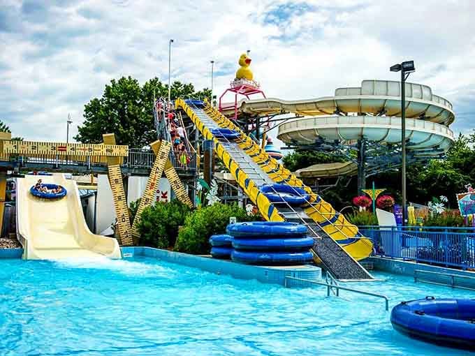The pool where getting soaked isn't just acceptable, it's the entire point of your summer day.