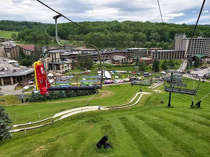 That chairlift view beats any office window, and the commute down is significantly more entertaining than yours.