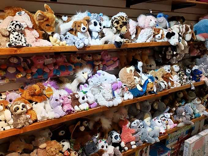 A stuffed animal collection so vast it could populate a small zoo, minus the feeding schedule.