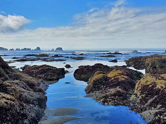 The tide pools here are teeming with colorful life that makes you feel like a kid again.