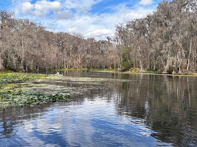 Mirror-perfect reflections on the river create scenes so stunning your camera roll will thank you later.