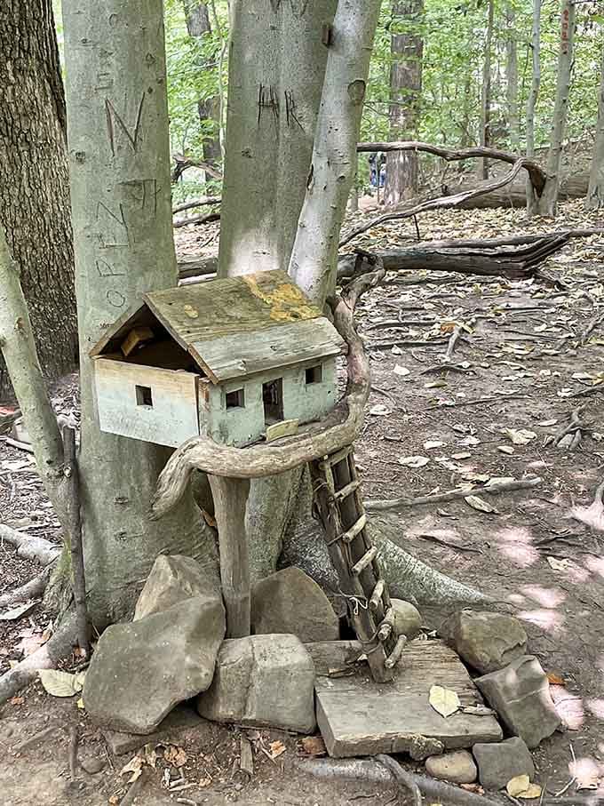This whimsical treehouse perched against a beech trunk looks like it was built by woodland creatures with impeccable taste.