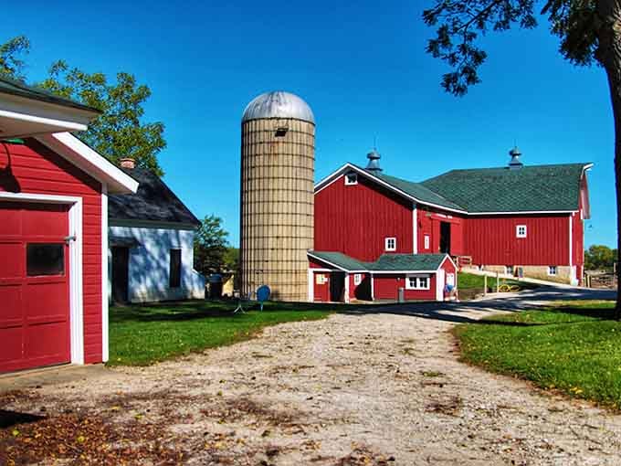 Red barns and silos reminding you that Illinois grows more than just traffic jams and political scandals.