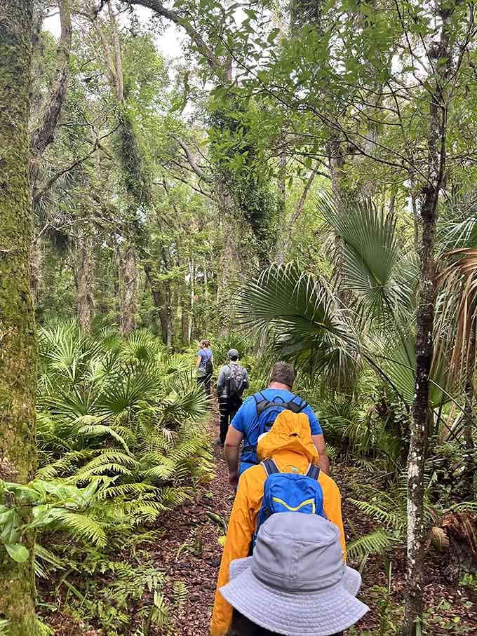 Fellow adventurers trek single-file through dense vegetation, united in their quest to discover what remains of St. Francis.