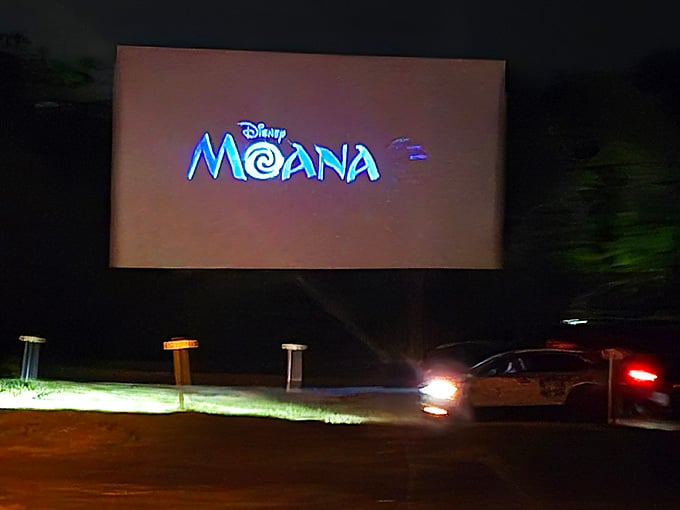 Disney's Moana lights up the screen while families settle in for an evening of island adventure and catchy songs.