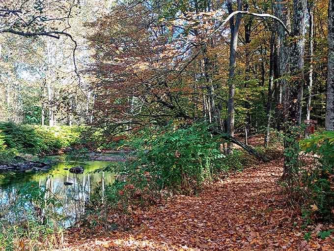 Nature trails that wind through the woods, offering that peaceful escape your overstimulated brain has been craving lately.