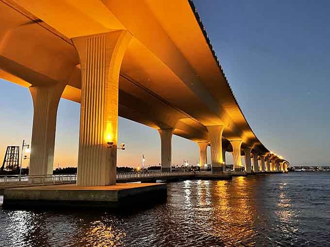 The Roosevelt Bridge lights up like Florida's answer to the Golden Gate, minus the fog and existential poetry.