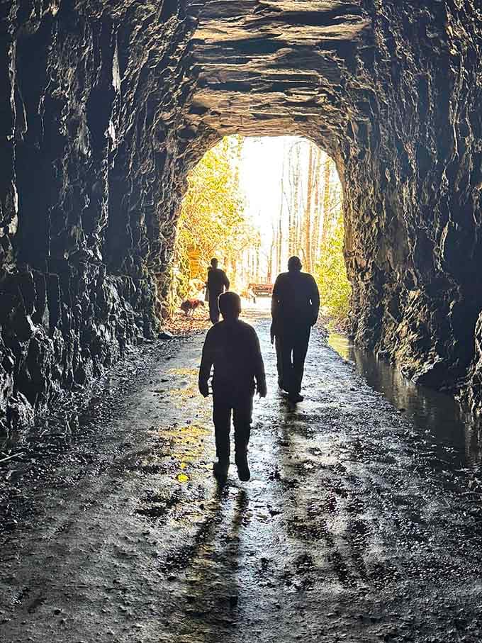 Walking toward the light never felt so literal or so perfectly Instagram-worthy for your adventurous friends.