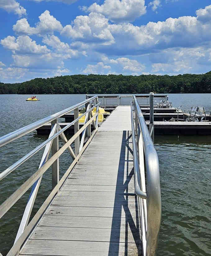 The dock extends into possibilities—fishing, swimming, or just sitting there pretending you're contemplating life's big questions.