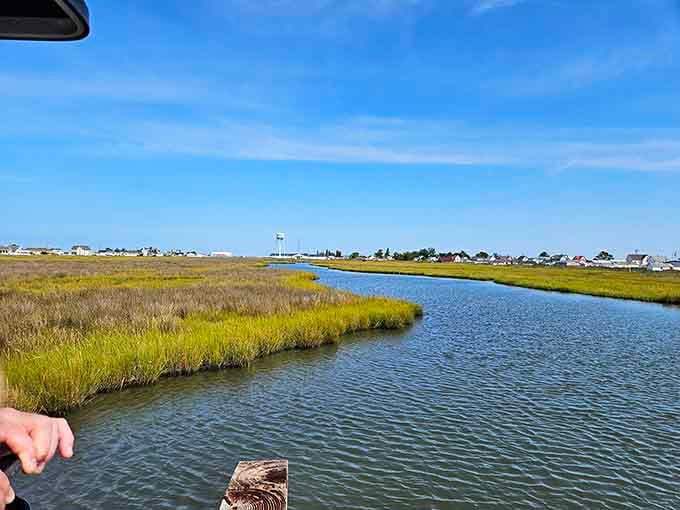 The marshlands stretch endlessly, reminding you that nature still runs the show out here in the bay.