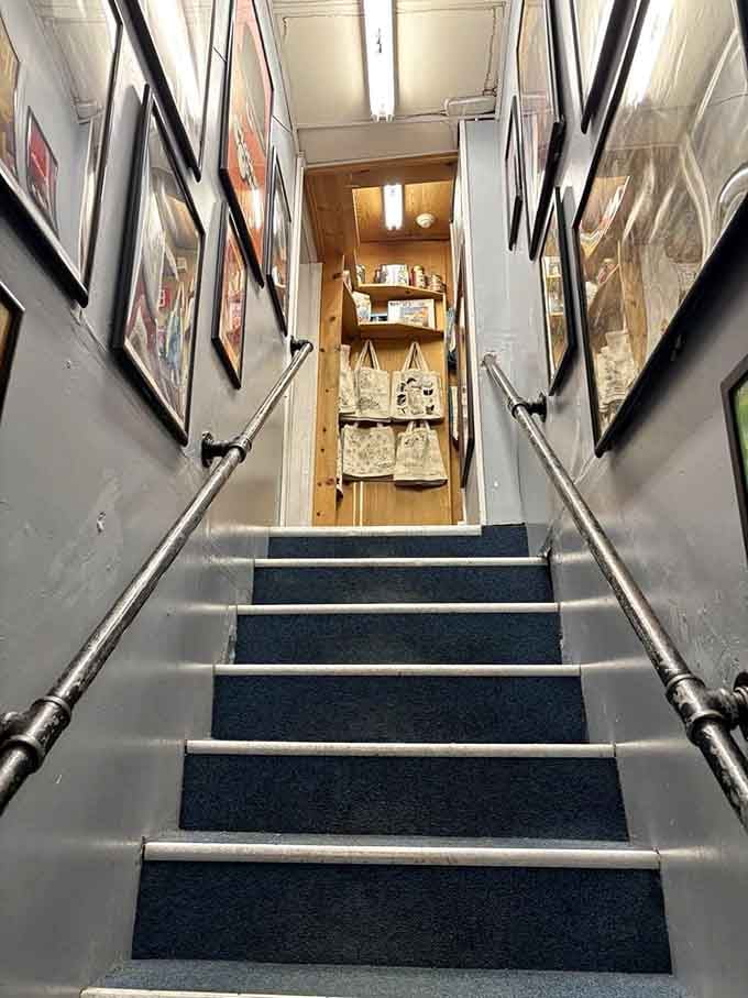 These stairs lead somewhere wonderful, though you might forget which floor you started on entirely.