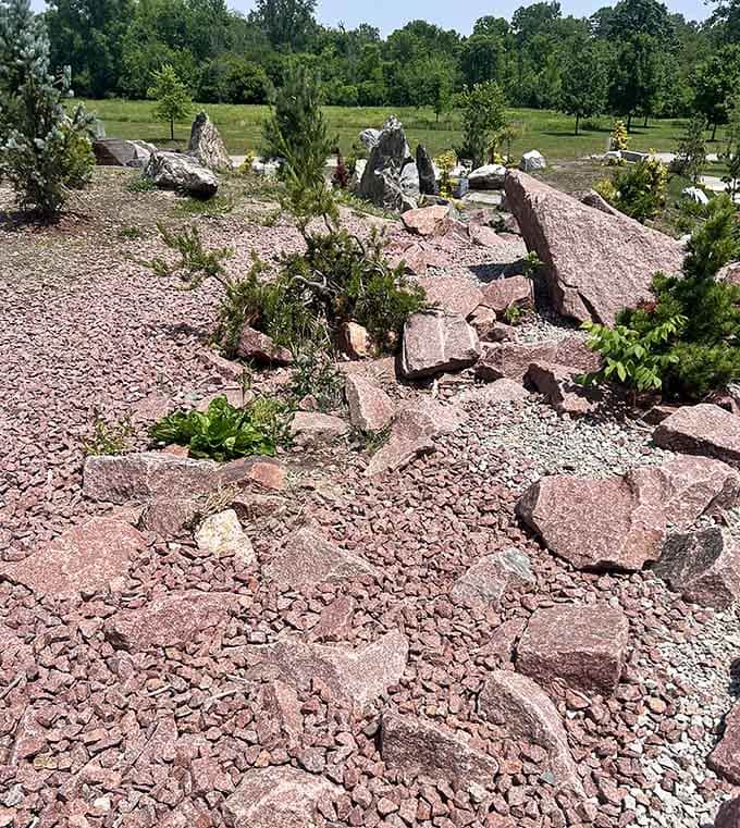 Pink granite chunks scattered like nature's confetti, creating a landscape that looks straight out of a sci-fi movie.