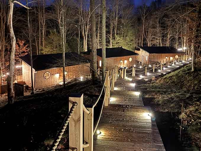 Illuminated boardwalks winding through the forest at night create an atmosphere that's equal parts magical and slightly Narnia-esque.