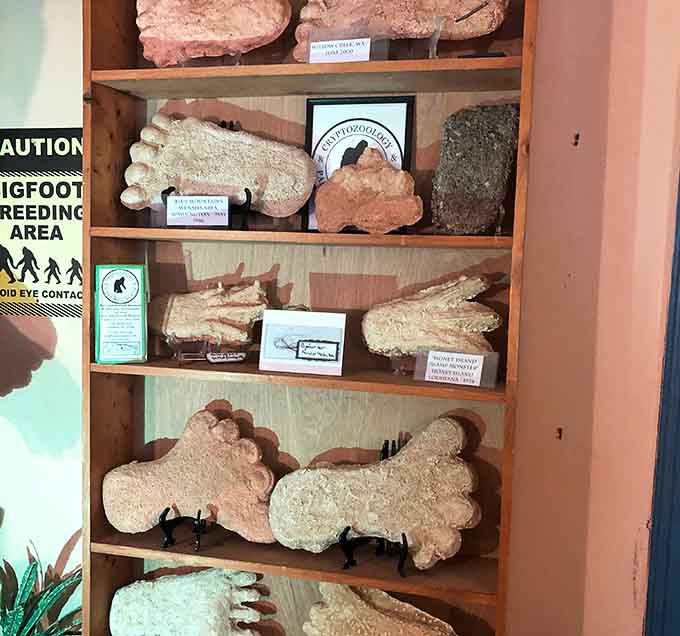 These plaster footprint casts range from "that's big" to "that thing wears a size twenty shoe," all neatly displayed like trophies.