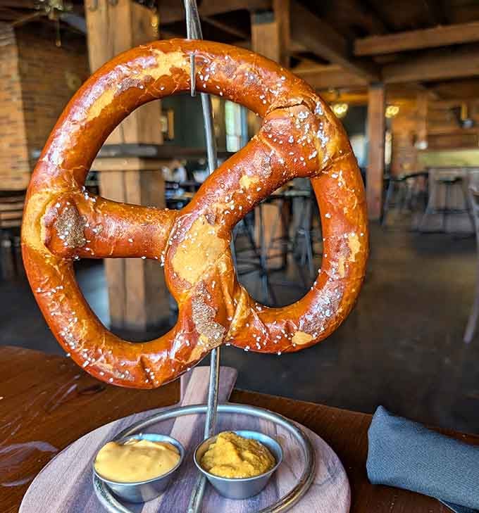 The Germantown Pretzel stands tall and proud, ready to be dunked in beer cheese and Rob's mustard glory.