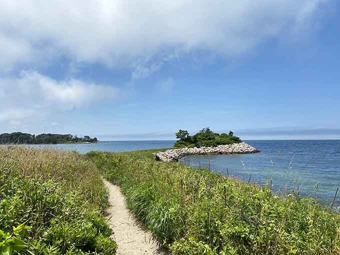 Summer greenery transforms The Knob into an emerald jewel jutting into Buzzards Bay's impossibly blue waters below.