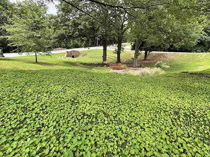 Lush groundcover carpets the area in vibrant green, showing the meticulous care that keeps this space looking pristine.