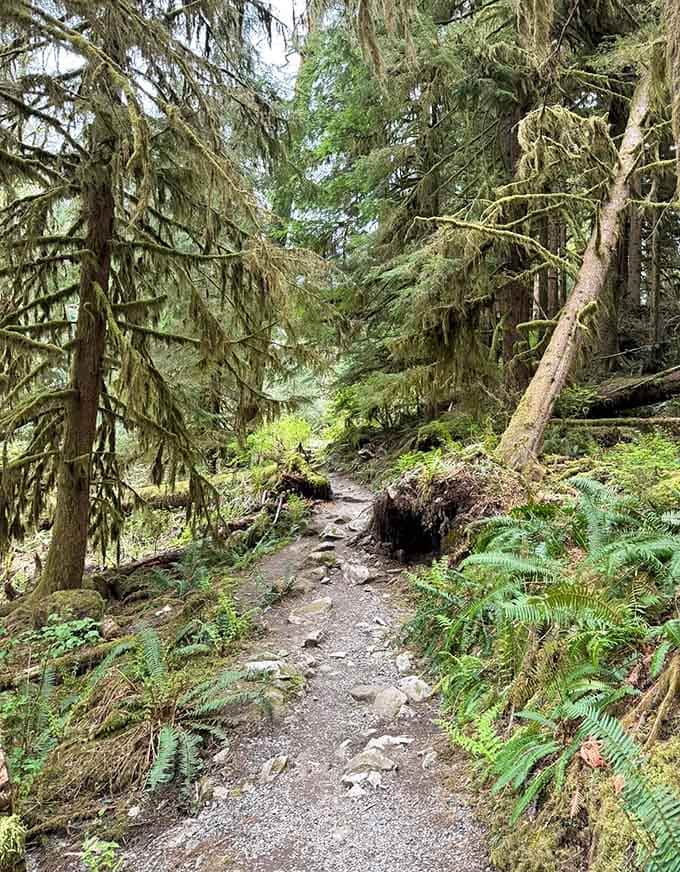 When the trail gets moody and atmospheric, you get photos that make your friends wonder if you hired a professional.