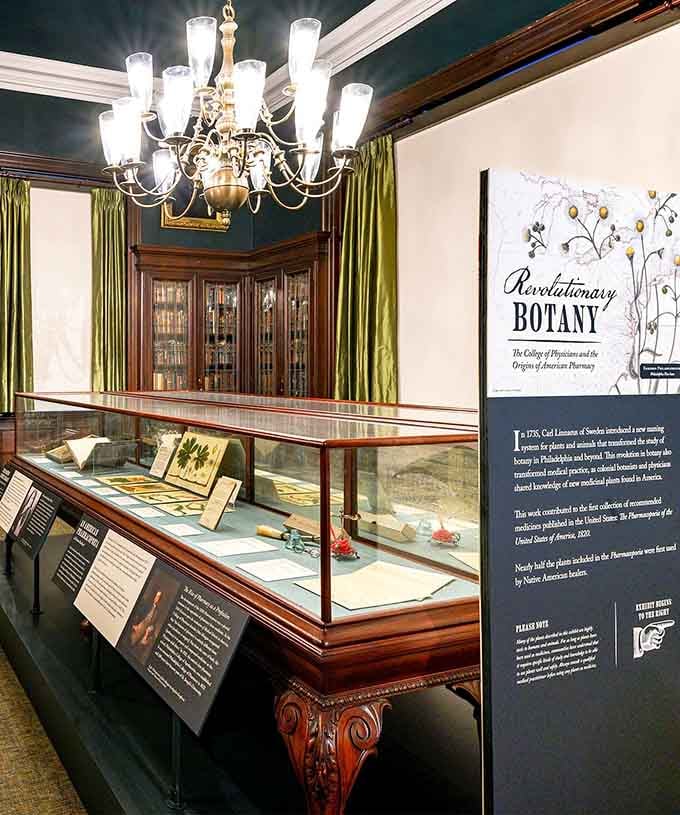 Revolutionary Botany proves that even plants played their part in building American medicine from the ground up, one leaf at a time.