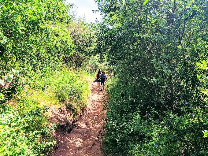 Smooth dirt paths wind through oak woodland, making the early sections feel deceptively easy before the real adventure begins.