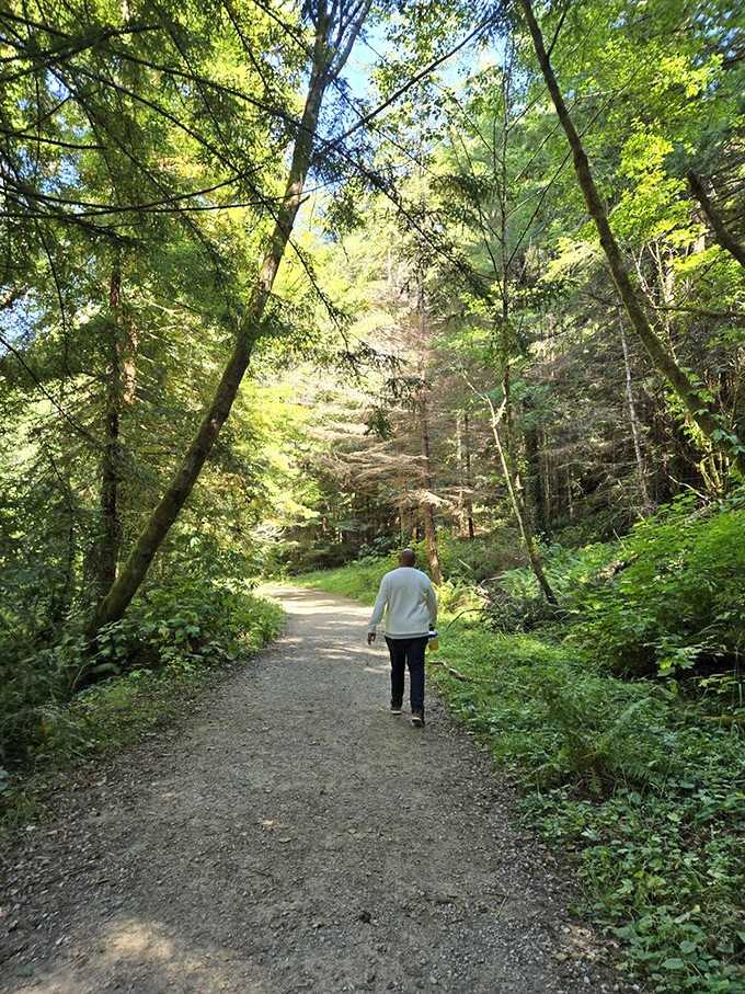 Glen Blair Junction's hiking trail lets you stretch your legs surrounded by trees older than your family tree.