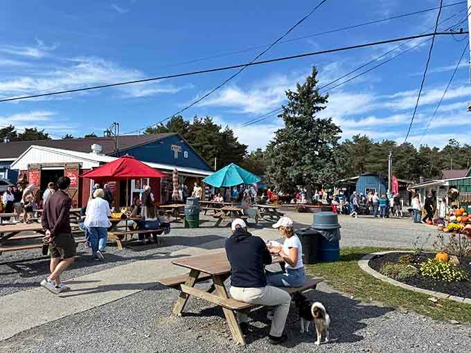 Picnic tables and outdoor seating where strangers become friends over shared appreciation for really, really good food.