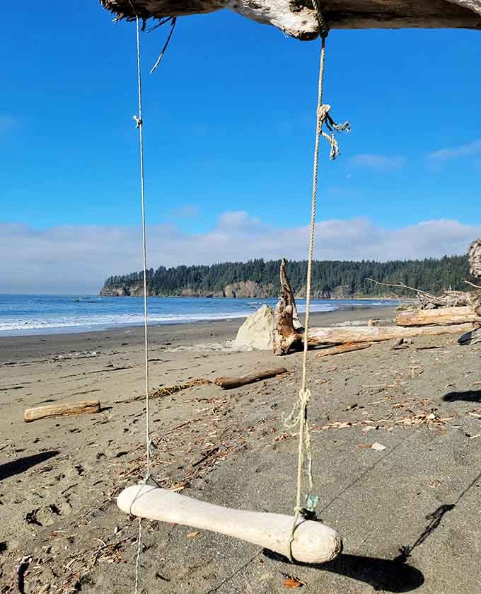 Someone built a driftwood swing because even beaches deserve a touch of whimsical childhood magic.
