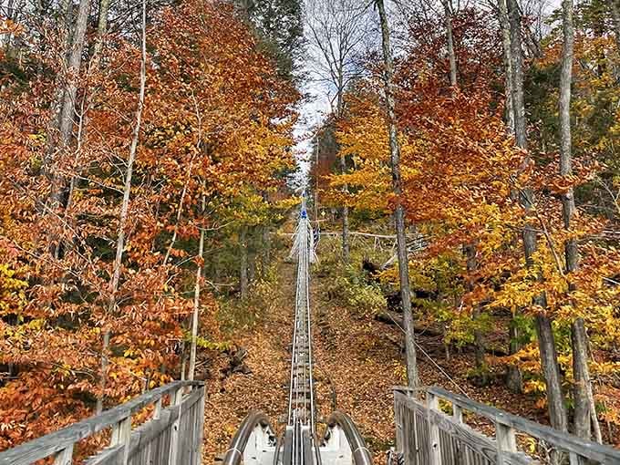 Autumn's greatest hits on full display, best viewed at speeds that make your hair stand up.