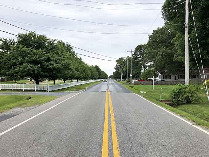 Roads this empty make you wonder if you've accidentally discovered a well-kept secret or time travel.