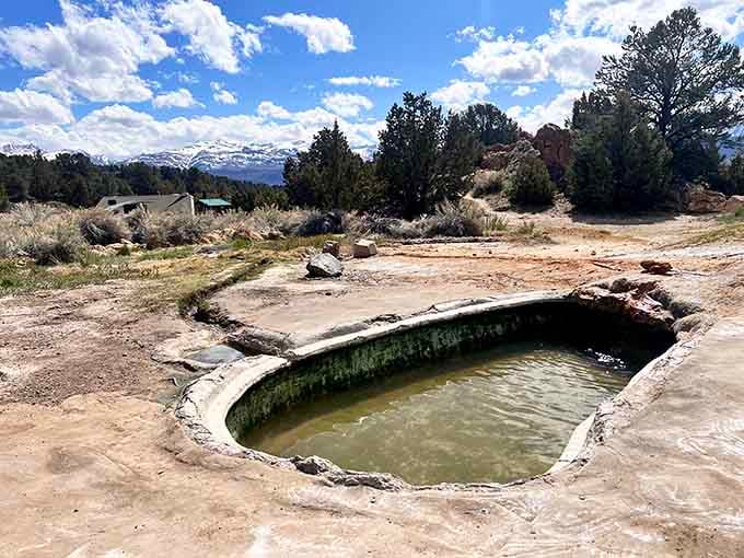 A natural pool carved by geology and time, sitting there like it's been waiting just for you.