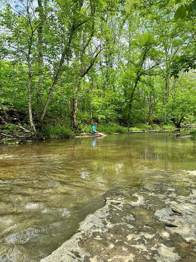 The nearby creek offers peaceful water views, perfect for contemplating why you didn't book this place sooner.