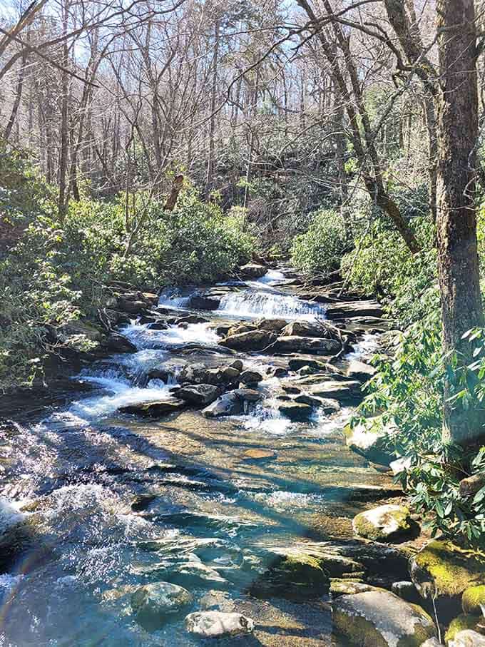 Crystal-clear water tumbles over moss-covered rocks, creating a soundtrack that beats any meditation app hands down.