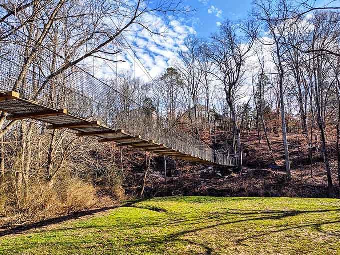The bridge from ground level reveals its impressive engineering, a testament to someone's excellent planning and execution.