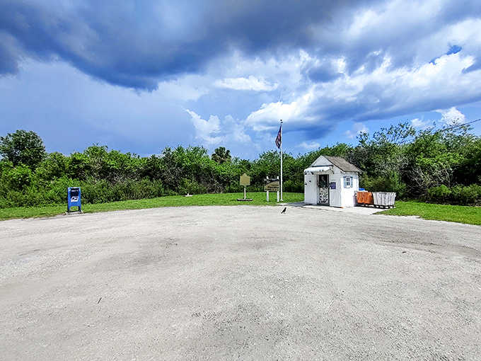 The building sits in splendid isolation, a testament to Florida's ability to surprise you around every corner.