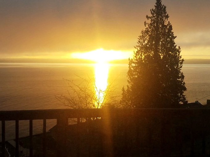 Sunsets over Puget Sound turn the water into liquid gold, making every evening feel like a special occasion.