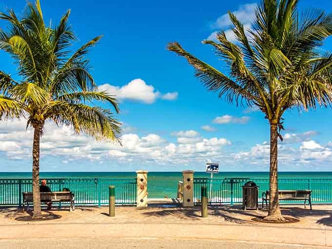 Palm trees frame ocean views like nature's own picture frame, no IKEA assembly required.