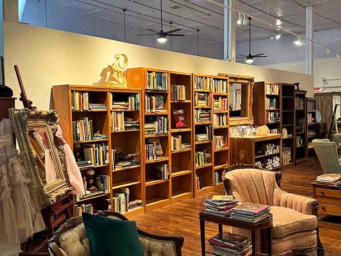 Inside this antique shop, wooden bookshelves overflow with literary treasures waiting for readers who appreciate stories bound in actual pages.