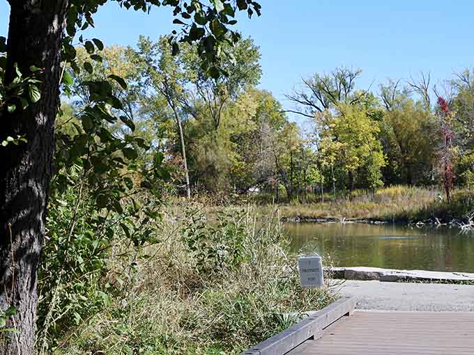 A wooden boardwalk invites you deeper into the preserve, where the city noise fades to memory.