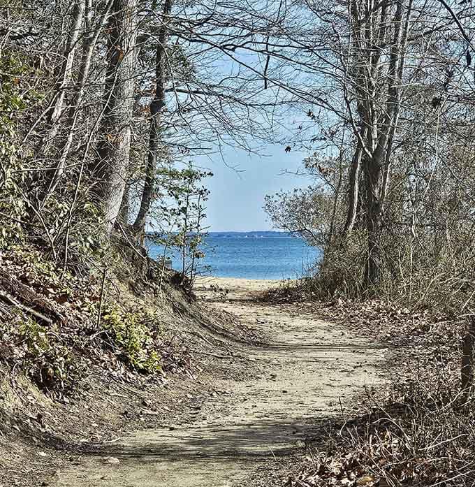 Every path to this beach feels like walking through a portal to another time.