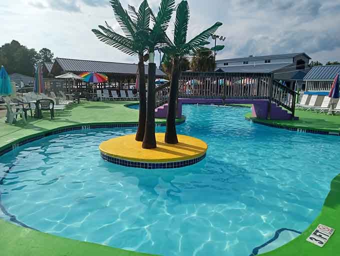 Palm trees in North Carolina proving that tropical vibes don't require a passport or expensive plane tickets.