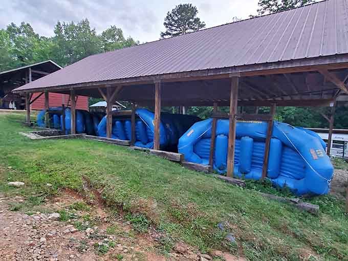 A fleet of blue rafts waiting patiently under the shed, like horses ready for the rodeo.