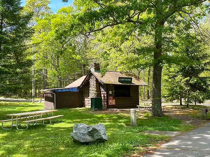 The rustic camp store provides essentials and nostalgia in equal measure, like summer camps remembered through rose-colored glasses.
