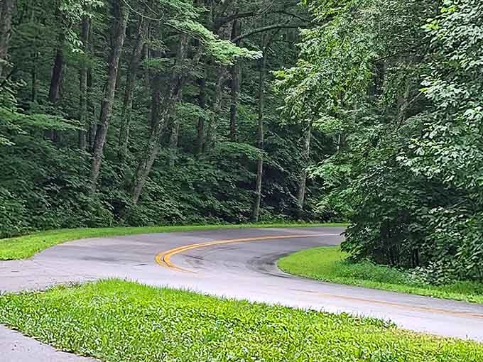 The Blue Ridge Parkway curves through mountains like a ribbon, delivering you to natural wonders.