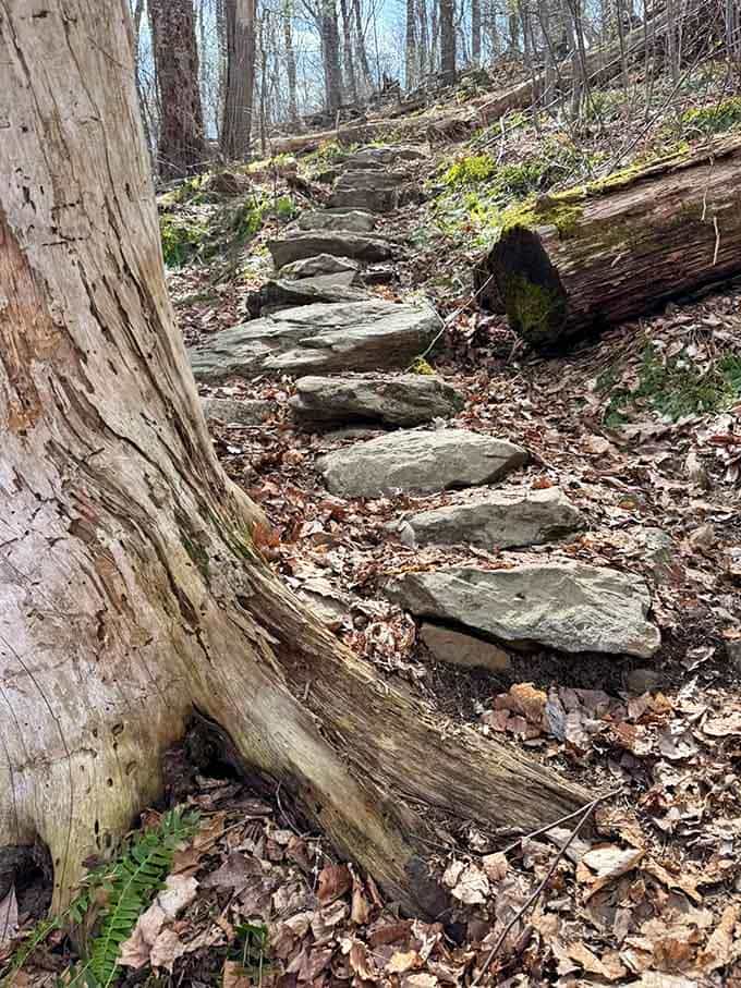 These natural stone steps have been welcoming hikers for generations, each one worn smooth by countless outdoor enthusiasts before you.