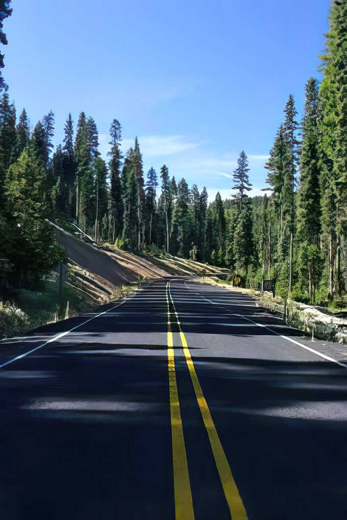 Fresh pavement cuts through towering pines on a road so smooth it feels like driving on butter through paradise.