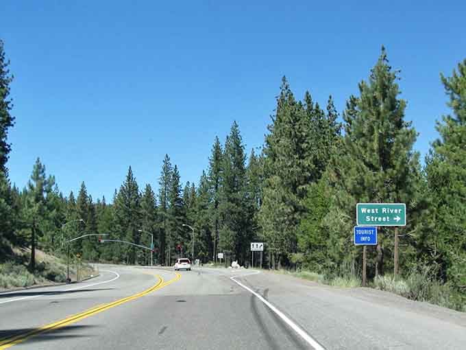 Pine forests line this mountain highway, their scent drifting through your windows like nature's own air freshener.