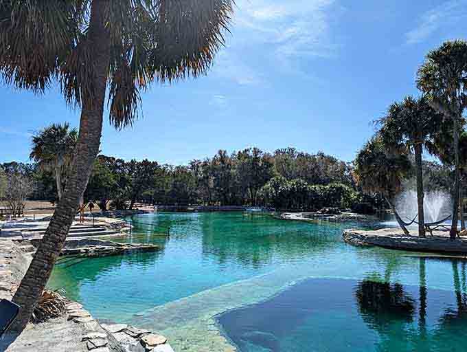 Crystal-clear spring water invites swimmers into nature's own infinity pool, palm trees swaying overhead approvingly.