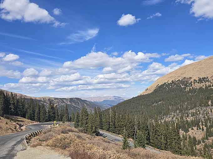 The highway curves gracefully through the valley where every guardrail turn reveals another postcard-worthy mountain vista.